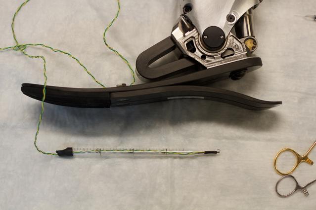 Overview ‹ Neural interface technology for advanced prosthetic limbs ...