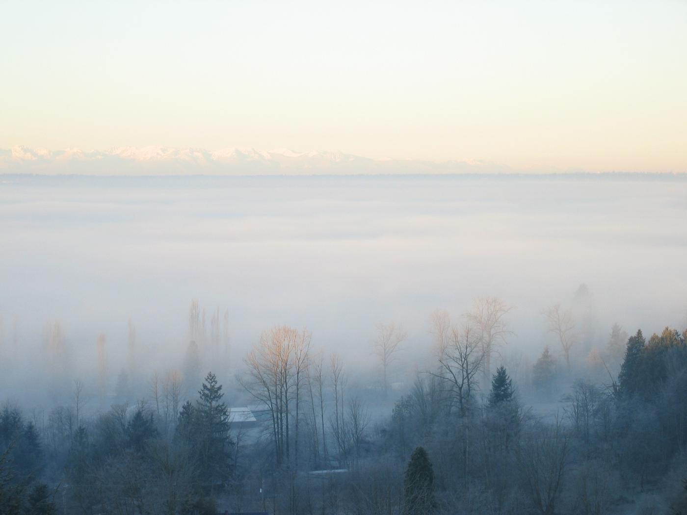 Depth-sensing imaging system can peer through fog — MIT Media Lab