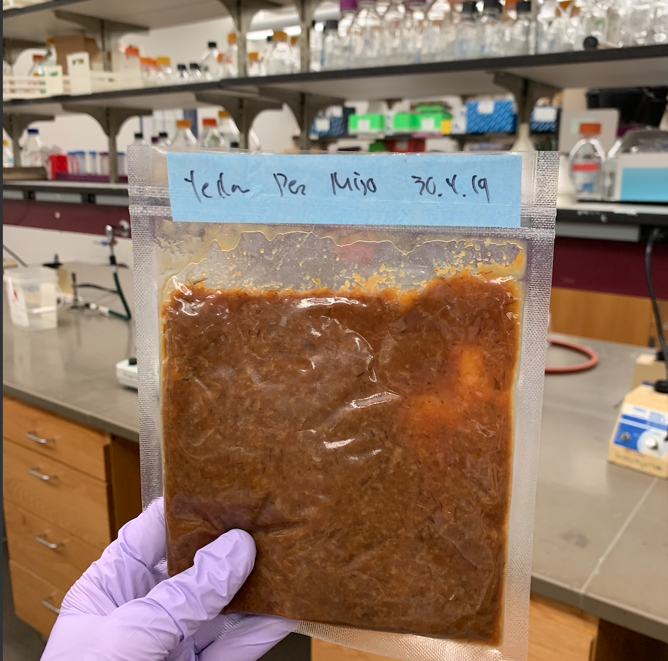 Space Fermentation Workshop — MIT Media Lab