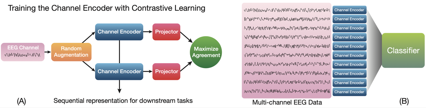 Contrastive Representation Learning for Electroencephalogram ...