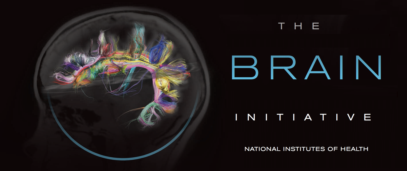 Nano-Cybernetic Biotrek Research Group Receives the NIH BRAIN ...