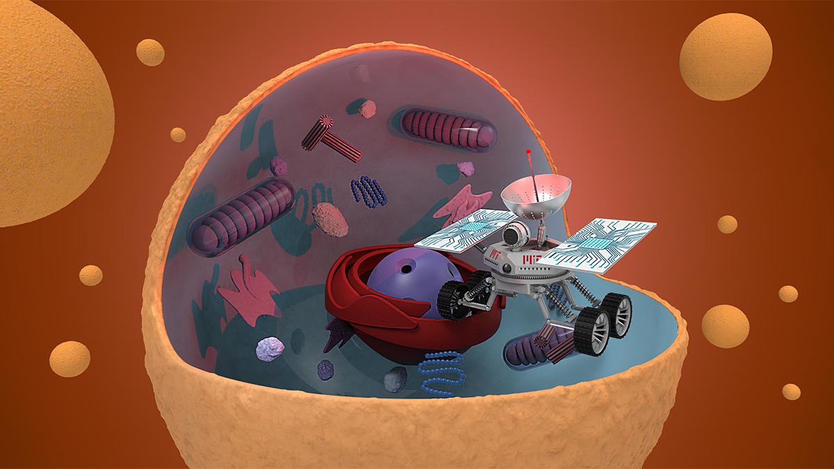 Cell Rover: An Intracellular Antenna for Radio Communication in 3D ...
