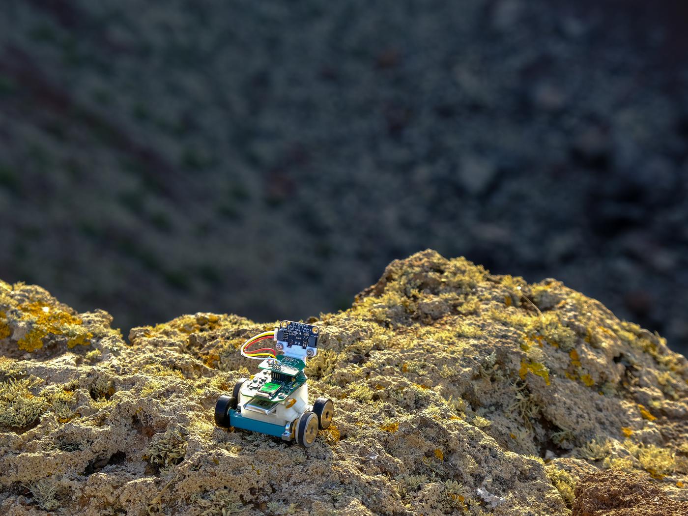 AstroAnt named 2024 Create the Future Design Contest finalist — MIT ...
