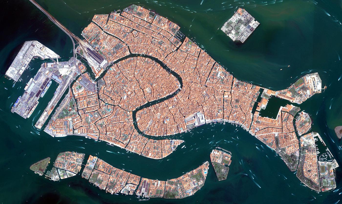 Forest in Venice: Between Earth and Sky, We Are One — MIT Media Lab