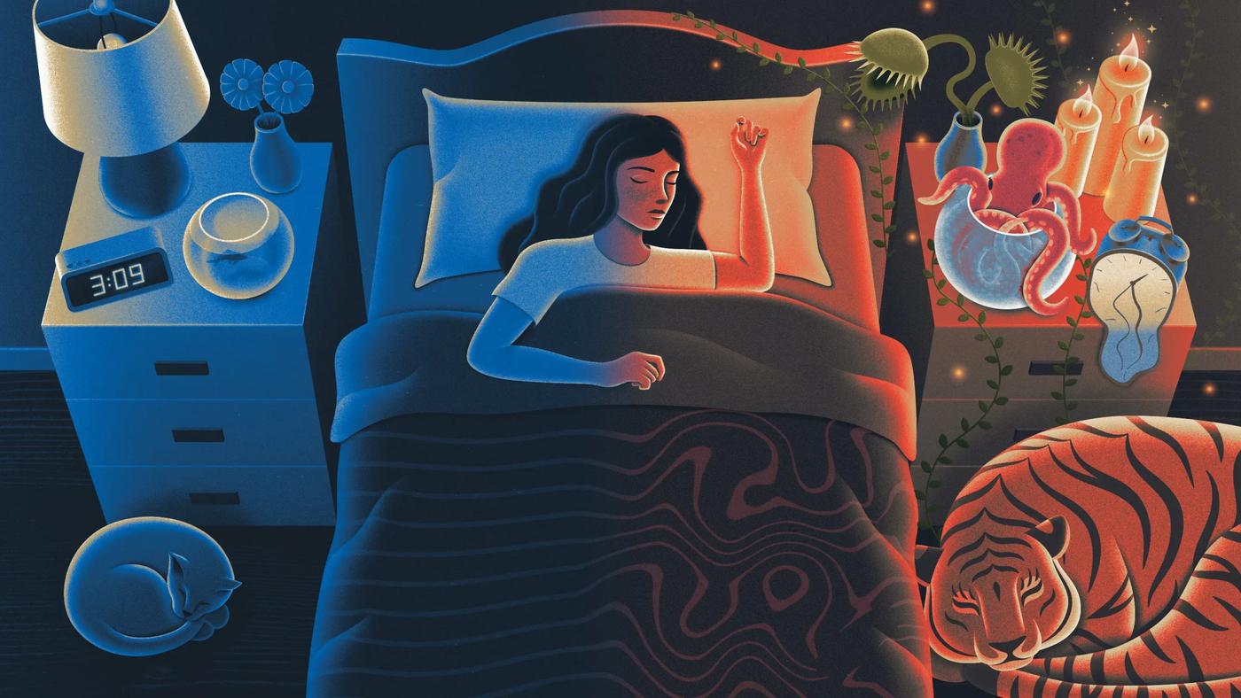 At the Mysterious Boundary Between Waking Life and Sleep, What Happens ...